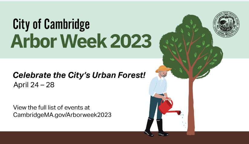 Cambridge Celebrates Arbor Week April 24-28