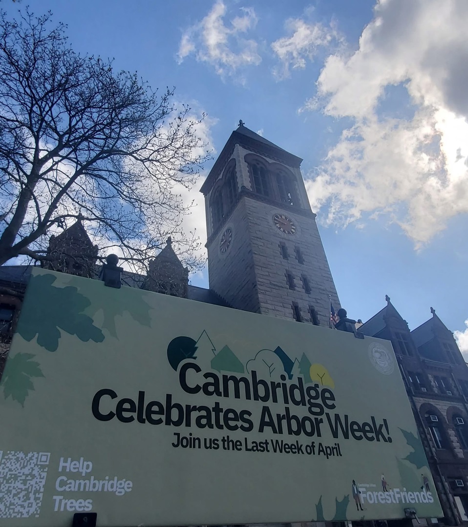 Cambridge Celebrates Arbor Week April 28-May 3