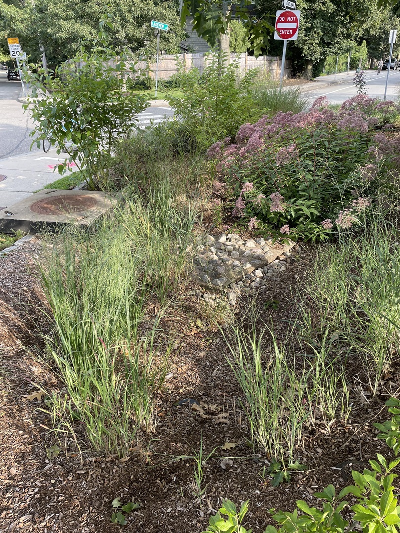 Draft Phosphorus Control Plan Now Available to Review