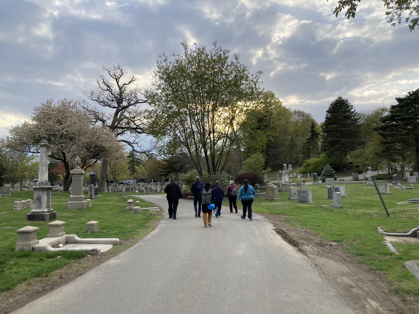 City of Cambridge Releases Cemetery Master Plan