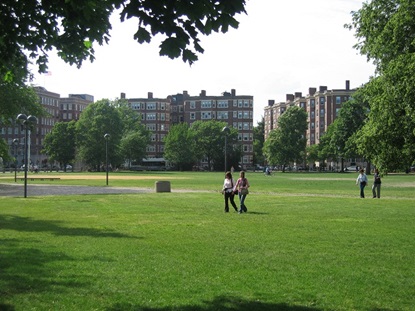 Cambridge Common - CDD - City of Cambridge, Massachusetts