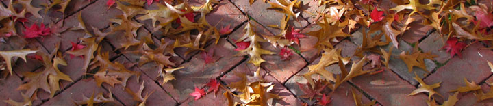 Welcome to the City of Cambridge